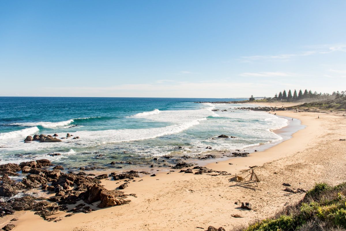 Nextt: Personalised Supported Living & Disability Housing Solutions